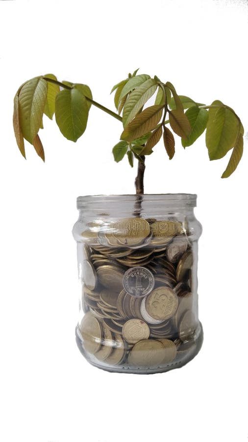 A Bank with Coins of Different Denominations, from Which a Money Tree ...