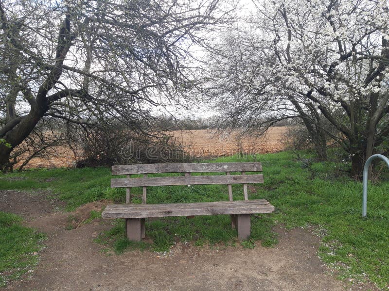 A bank in front of a field stock photo. Image of trail - 190369458