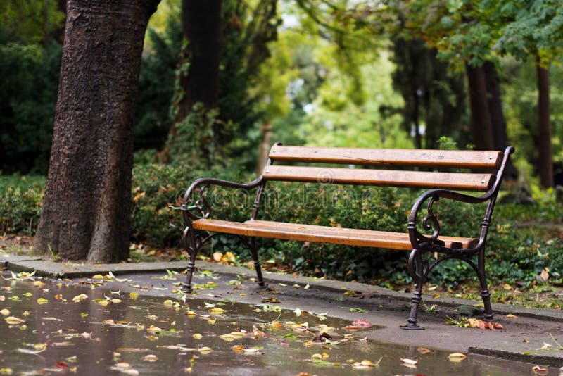 Bank im Park stockbild. Bild von bank, frech, park, szenisch - 11649449