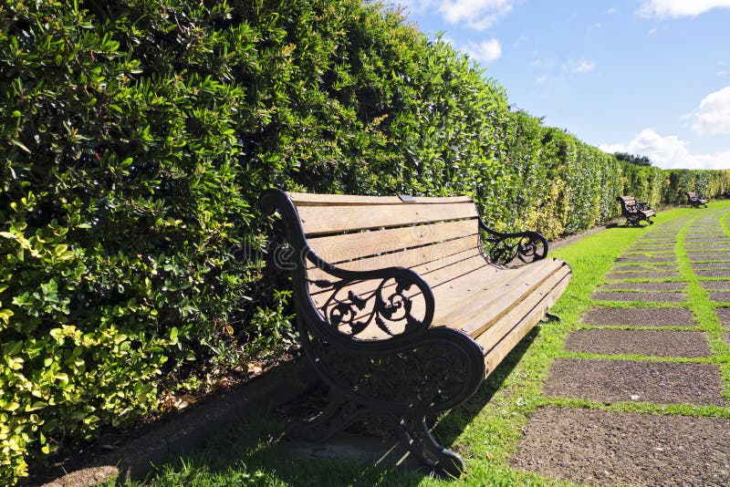 Bank im Park stockbild. Bild von sommer, leer, holz, nave - 88105827