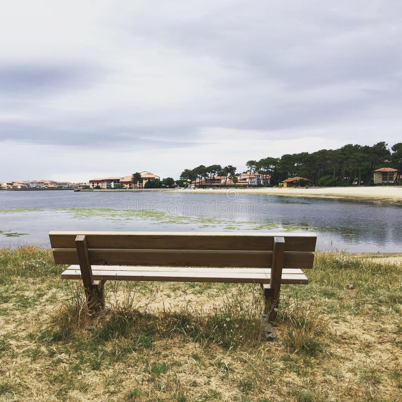 Bank in a Lake Close To the Forest Stock Image - Image of grey, lake ...