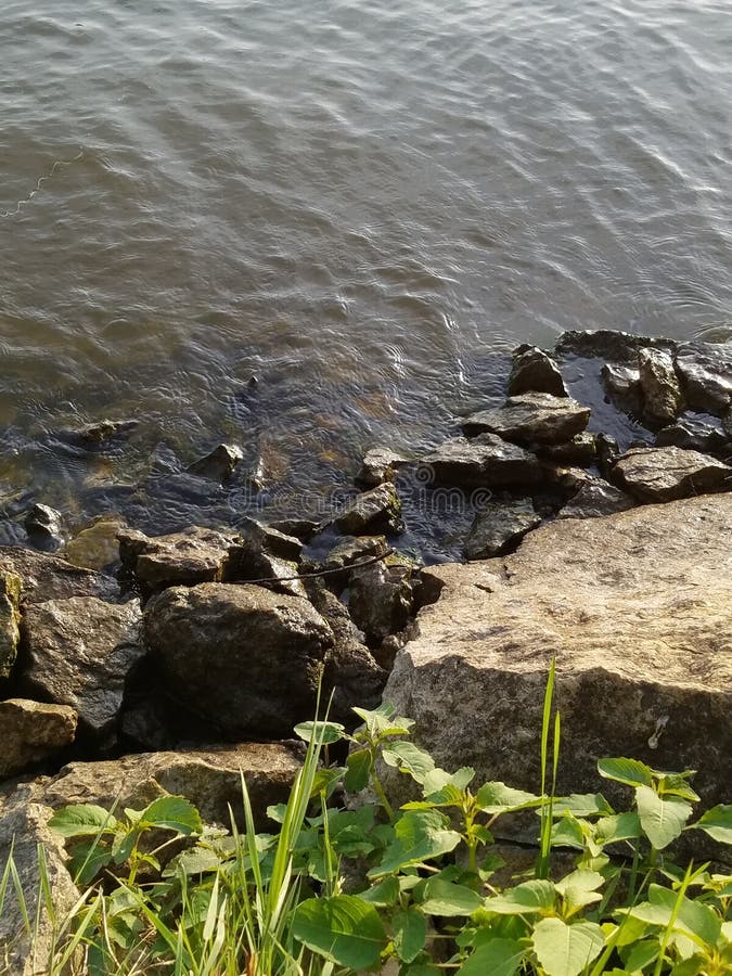 The Bank of the Lake stock image. Image of lake, green - 106469461