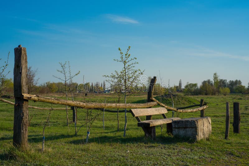 Bank mit Baum stockfoto. Bild von landschaft, sommer - 56745972