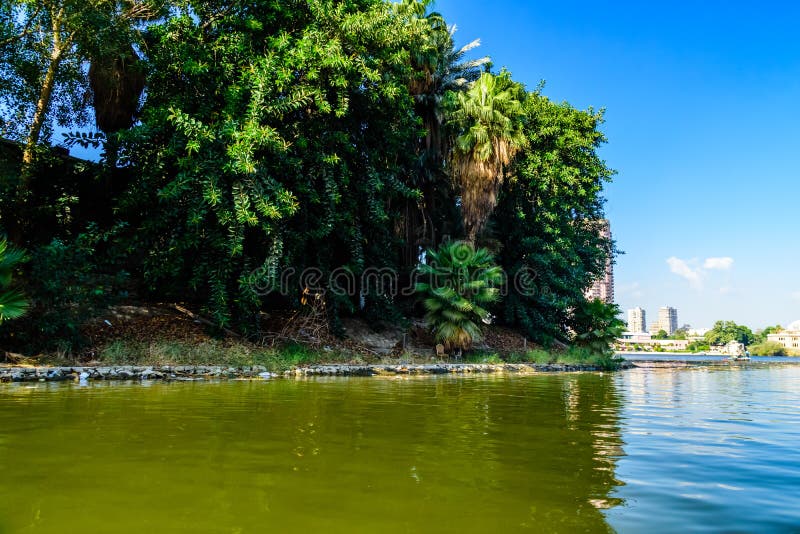 Bank of the Nile River in Cairo, Egypt Stock Image - Image of bright ...