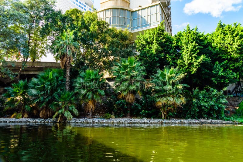 Bank of the Nile River in Cairo, Egypt Stock Photo - Image of city ...