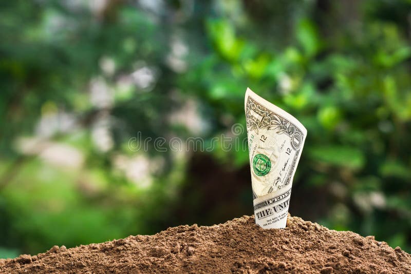 Bank Note on Soil with Sunset. Concept Finane Stock Image - Image of ...