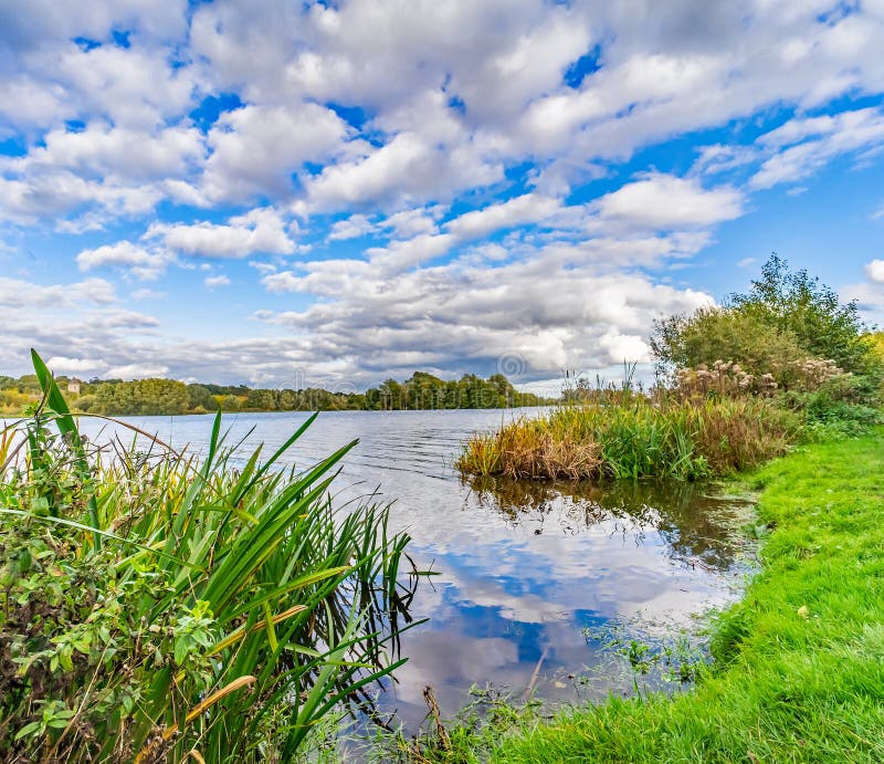 Whitlingham Broad, Norfolk on a Summer`s Day Stock Photo - Image of ...