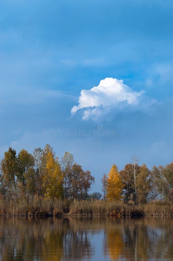 Bank of the river stock image. Image of gold, pond, forest - 76527355