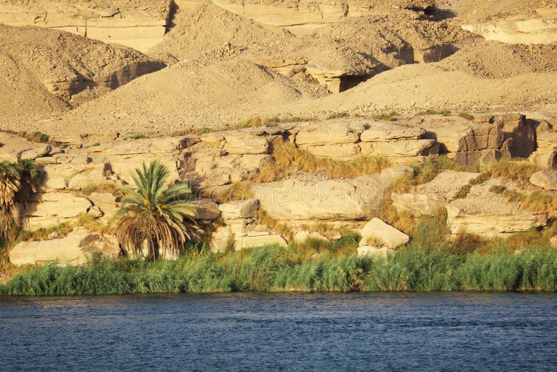 Bank of the river Nile stock image. Image of pharaoh - 63134591