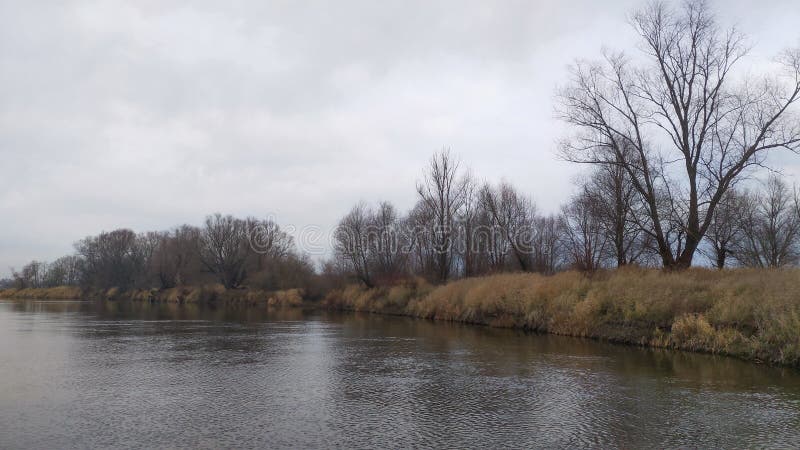 The Bank of the River is Overgrown with Grass, among Which Stand Large ...