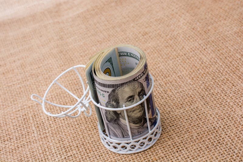 Banknote Bundle of US Dollar in a Birds Cage Stock Image - Image of ...