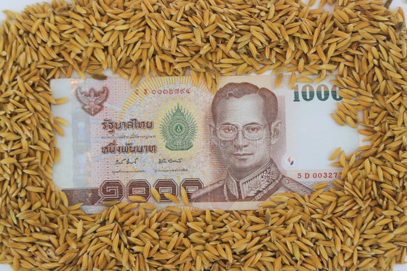 Banknotes stock image. Image of asian, beauty, banknotes - 60428917