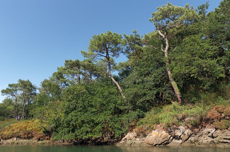 Banks of Crac`h River stock image. Image of nature, outdoor - 106210391