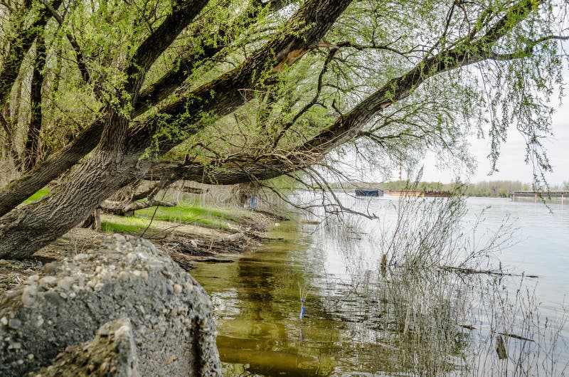 The Banks of the Danube in the Spring Stock Image - Image of natural ...