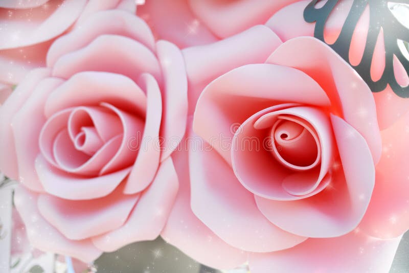 Banner Background with Pink Roses Stock Image - Image of isolated ...