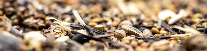 Banner with Bee Friendly Wildflower and Flower Seed Stock Image - Image ...