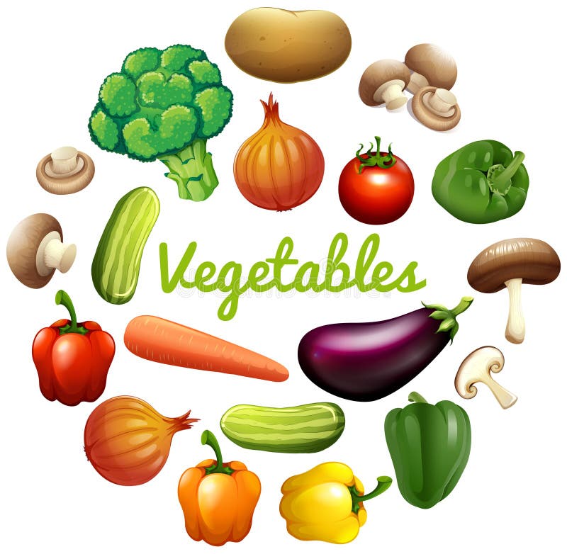 Banner Design with Fresh Vegetables Stock Vector - Illustration of ... Banner Design with Fresh Vegetables Stock Vector - Illustration of ...