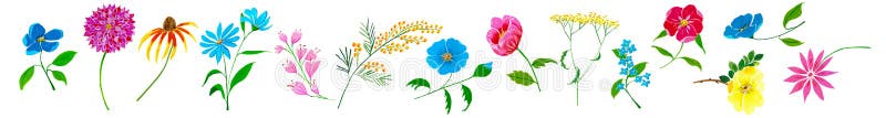 Banner with Flower pattern stock illustration. Illustration of ...
