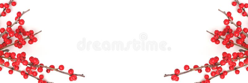 Winterberry Banner Stock Illustrations – 105 Winterberry Banner Stock ...