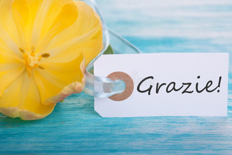 Label on Ice with Grazie Means Thank You Stock Photo - Image of ...