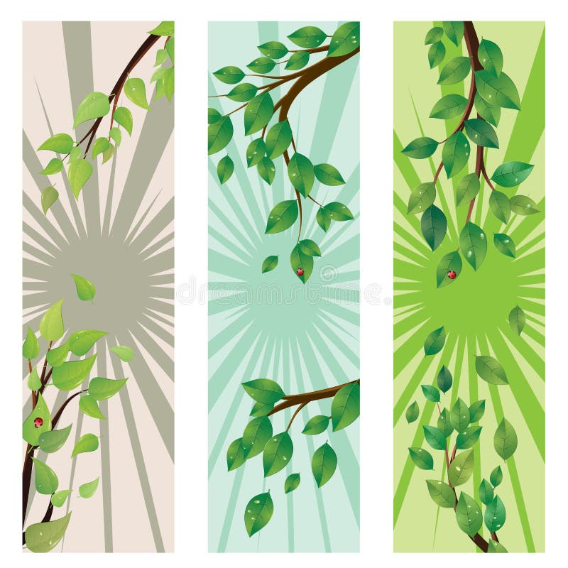 Banner with Green Leaves on Branch Stock Vector - Illustration of ...