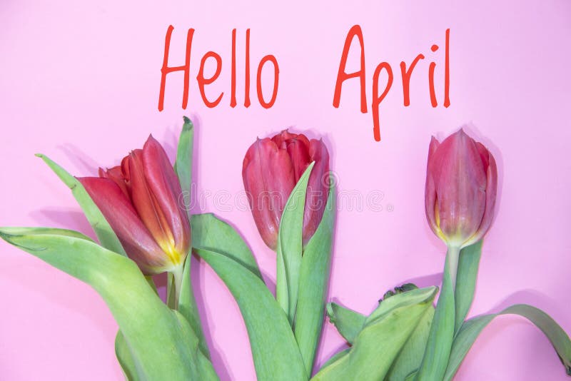Banner Hello April. Hi Spring. the Second Month of Spring Stock Photo ...