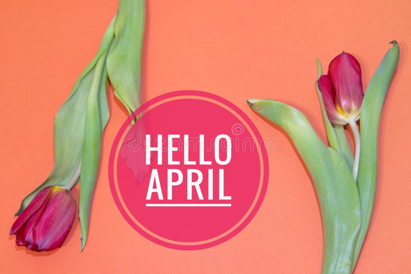 Banner Hello April. Hi Spring. the Second Month of Spring Stock Photo ...