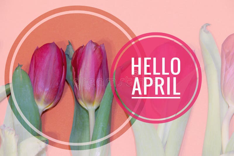 Banner Hello April. Hi Spring. the Second Month of Spring Stock Photo ...