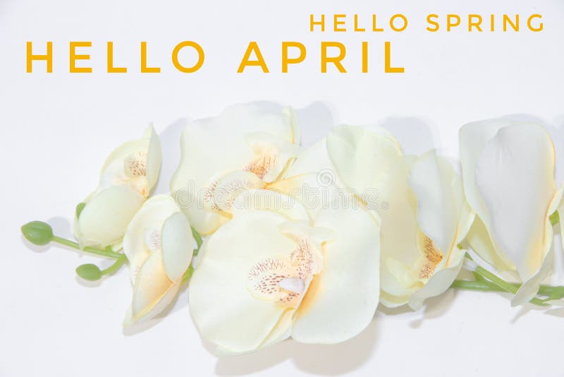 Banner Hello April. Hi Spring. the Second Month of Spring Stock Image ...