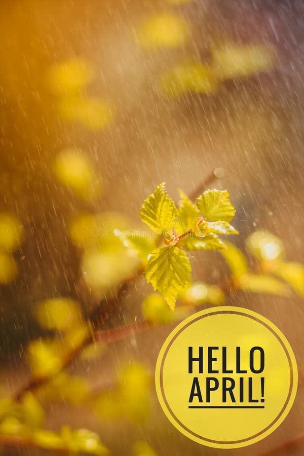 Banner Hello April. Hi Spring. Hello April. Welcome Card we are Waiting ...