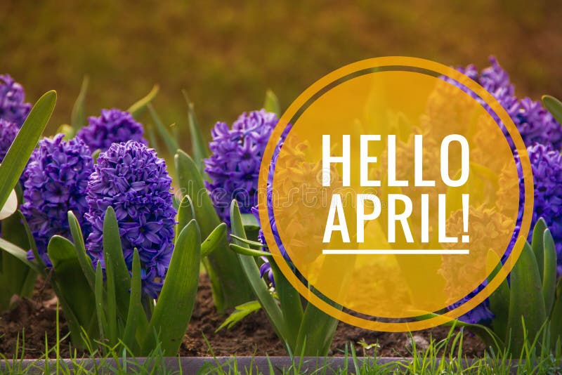 Banner Hello April. Hi Spring. Hello April. Welcome Card we are Waiting ...