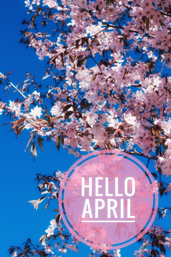 Banner Hello April. Hi Spring. Hello April. Welcome Card we are Waiting ...