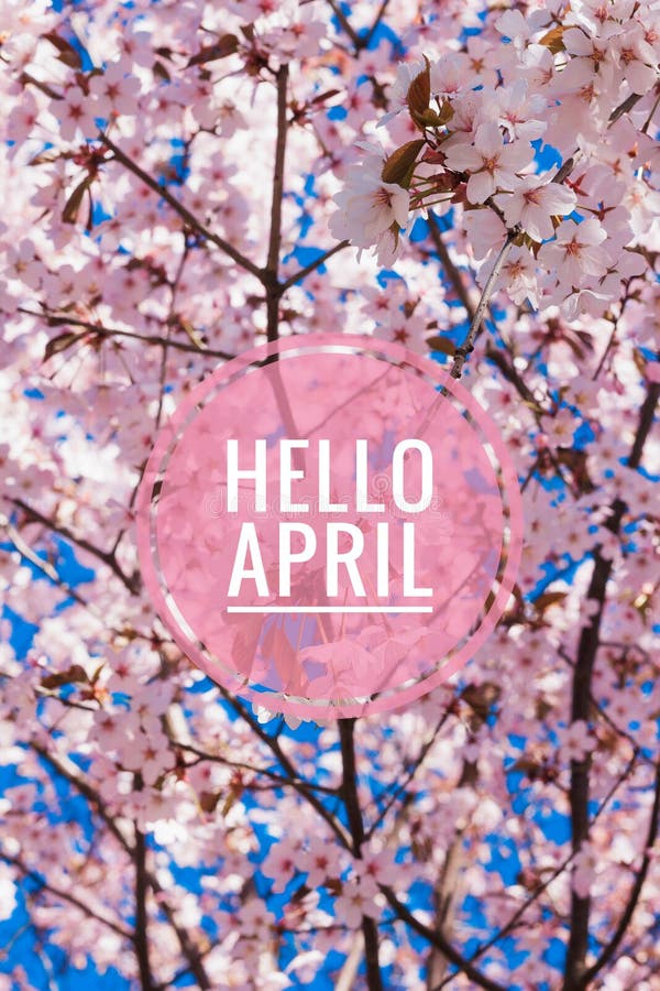Banner Hello April. Hi Spring. Hello April. Welcome Card we are Waiting ...