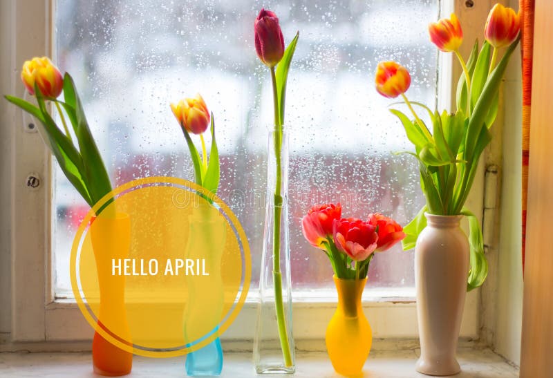 Banner Hello April. Hi Spring. Hello April. Welcome Card we are Waiting ...