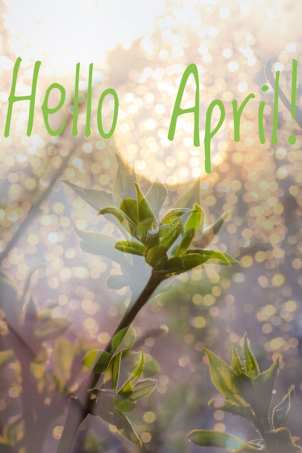 Banner Hello April. Hi Spring. Hello April. Welcome Card we are Waiting ...