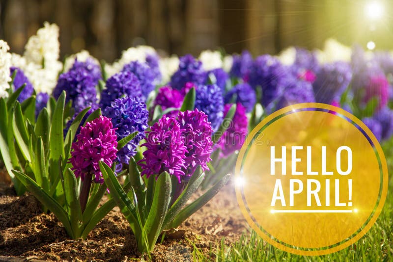 Banner Hello April. Hi Spring. Hello April. Welcome Card we are Waiting ...