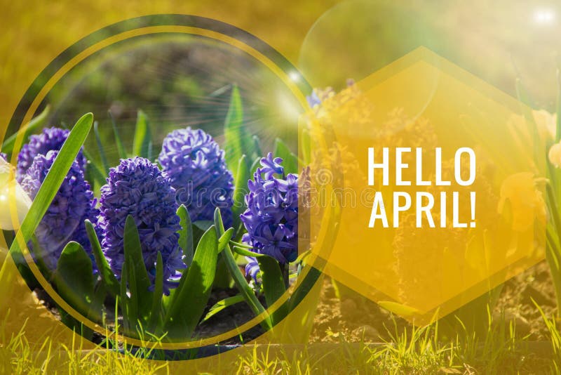 Banner Hello April. Hi Spring. Hello April. Welcome Card we are Waiting ...