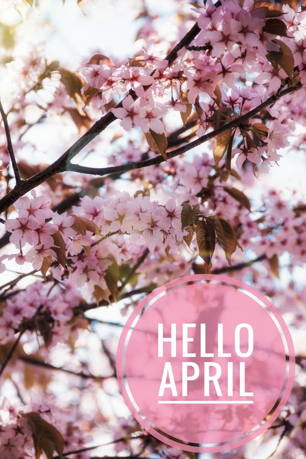 Banner Hello April. Hi Spring. Hello April. Welcome Card we are Waiting ...