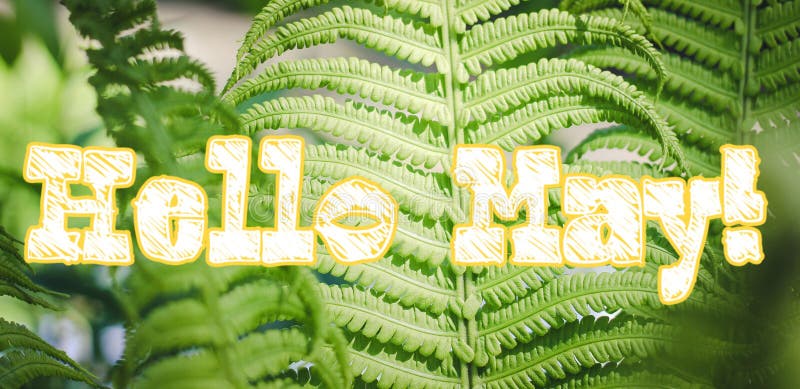 Banner Hello May. Welcome Picture. New Month. Warm Month. the Month of ...
