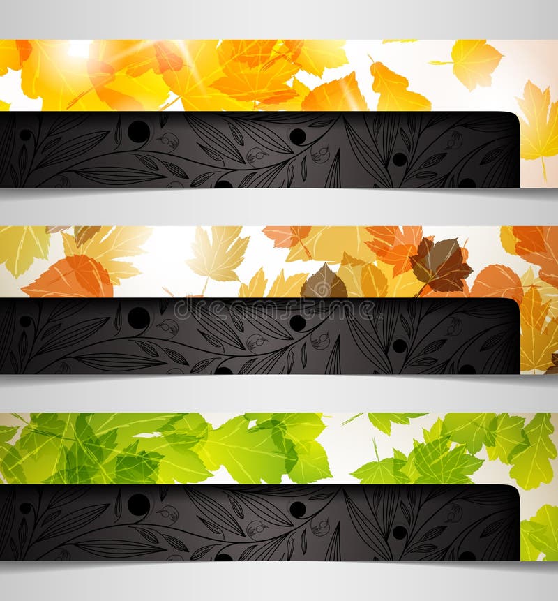 Banner Hybrid Autumn Leaf Combination Abstract Ba Stock Vector ...