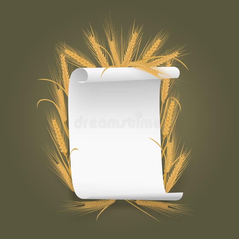 Banner Label Template Paper Sheet with Wheat Spikelets Stock Vector ...