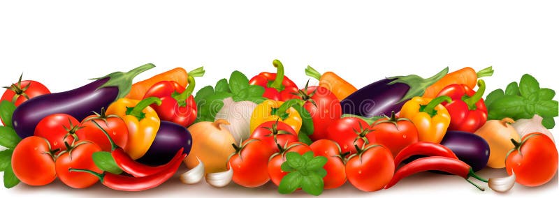 Banner Made of Fresh Colorful Vegetables Stock Vector - Illustration of ...