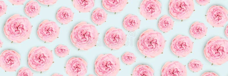 Banner with Pattern Made of Pink Rose Flowers. Stock Image - Image of ...