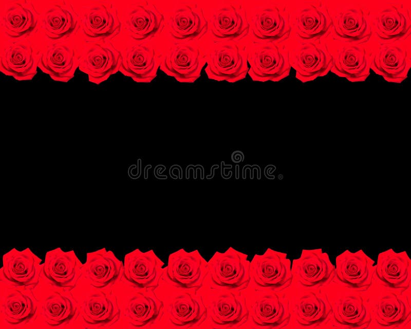 Banner of red roses stock image. Image of banner, buds - 37910139