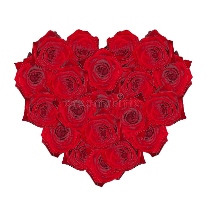 Banner with Red Roses. Beautiful Red Roses for Holidays. Roses on ...