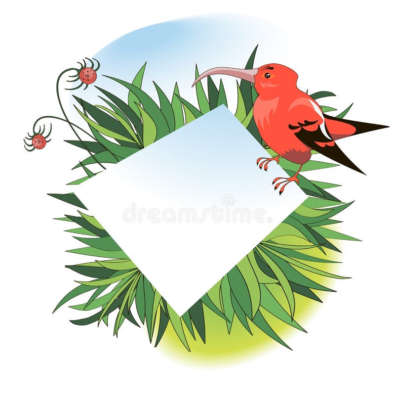 Banner with Red Tropical Bird Stock Illustration - Illustration of ...