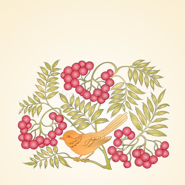 Banner with rowan. stock vector. Illustration of design - 32562461