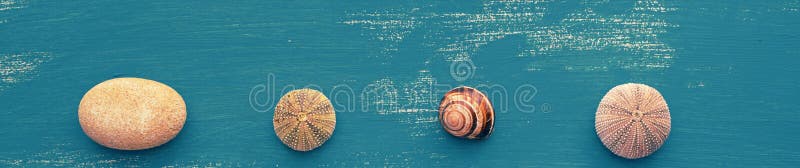 Banner Set Sea Shell Decorative Frame Place for Text. Stock Photo ...