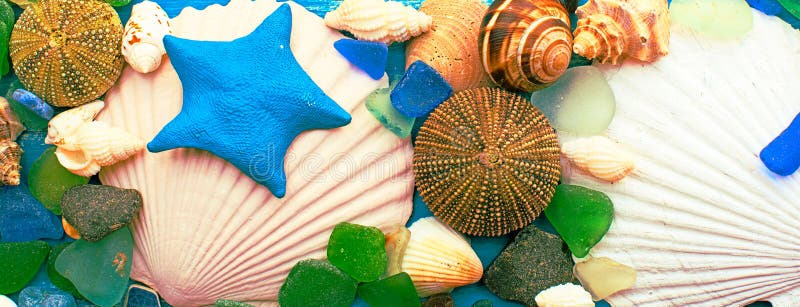 Banner Set Sea Shell Decorative Frame Place for Text. Stock Photo ...