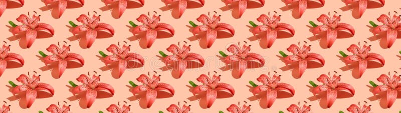 Banner Small Seamless Pattern Pink Flower Garden Lily Stock Photo ...